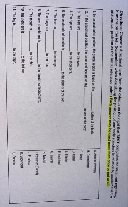 Solved Directions: Choose a directional term from the column | Chegg.com