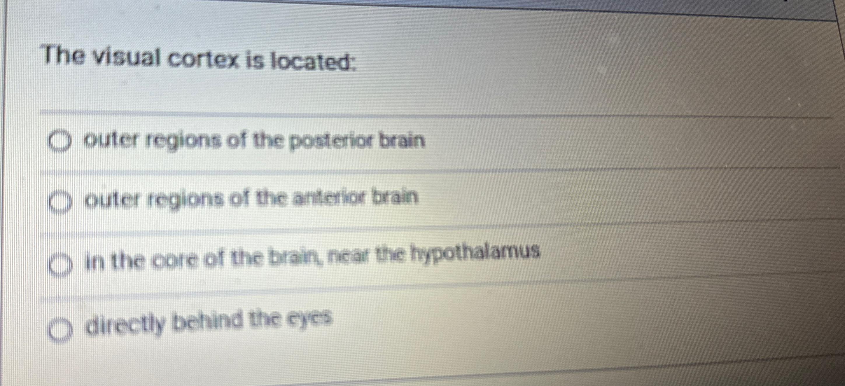 Solved The visual cortex is located:outer regions of the | Chegg.com