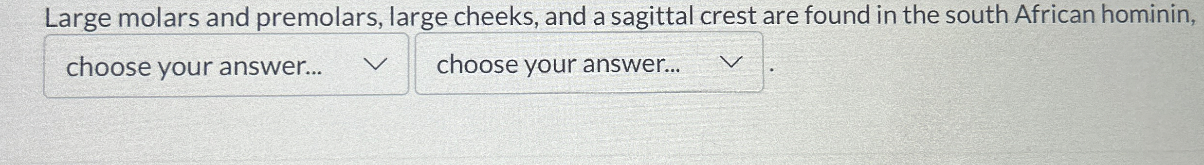 Solved Large molars and premolars, large cheeks, and a | Chegg.com