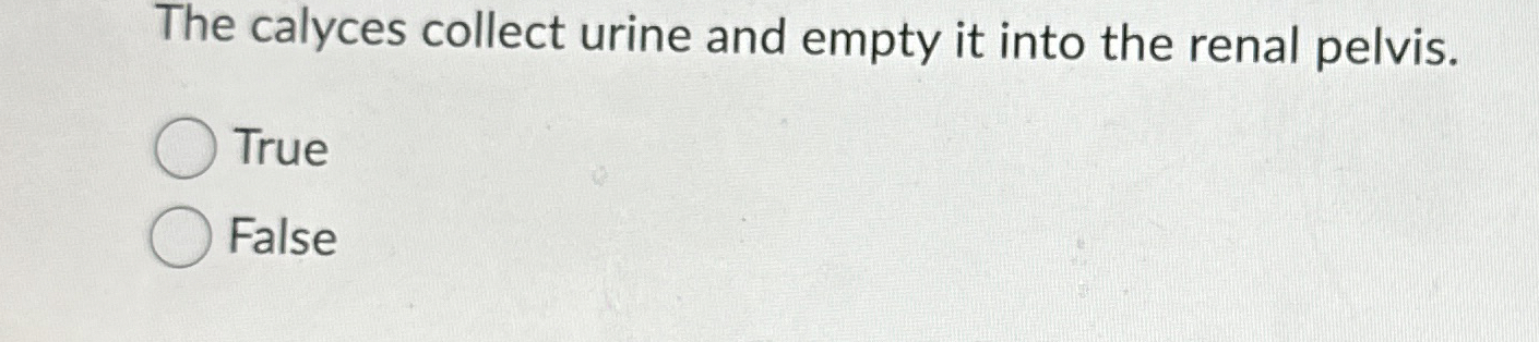 High Quality SOLUTION The calyces collect urine and empty it into the ...