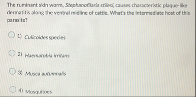 Solved The ruminant skin worm, Stephanofilaria stilesi, | Chegg.com