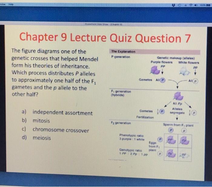 What Is My Genetic Makeup Quiz | Saubhaya Makeup