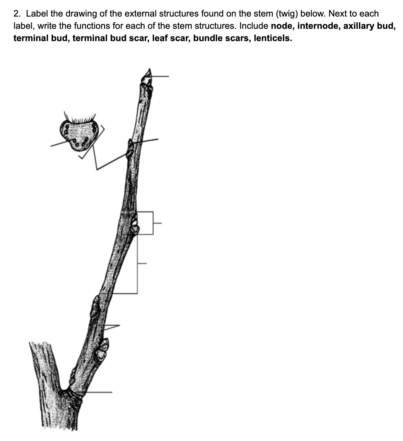 Label the drawing of the external structures found on | Chegg.com
