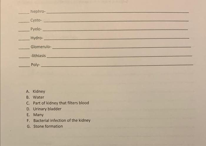 Solved Nephro- Cysto- Pyelo- Hydro- Glomerulo- -lithiasis | Chegg.com