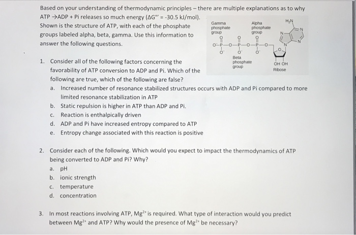 Solved Gamma phosphate Based on your understanding of | Chegg.com