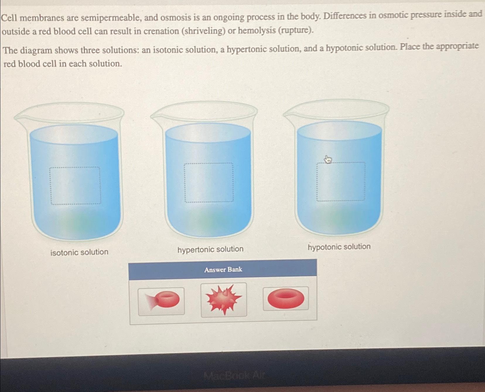 Solved Cell membranes are semipermeable, and osmosis is an | Chegg.com