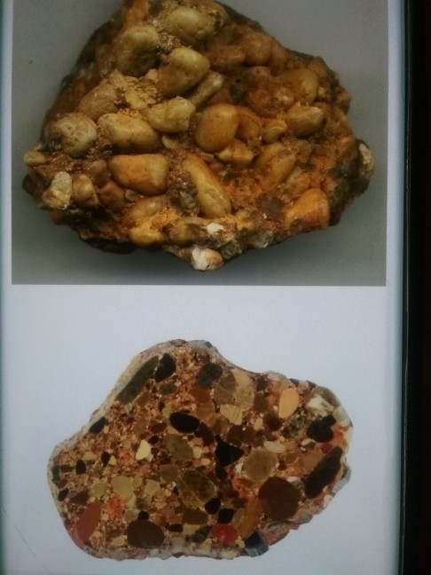 Solved Lab 3 Sedimentary rocks Sample Composition of Rock | Chegg.com