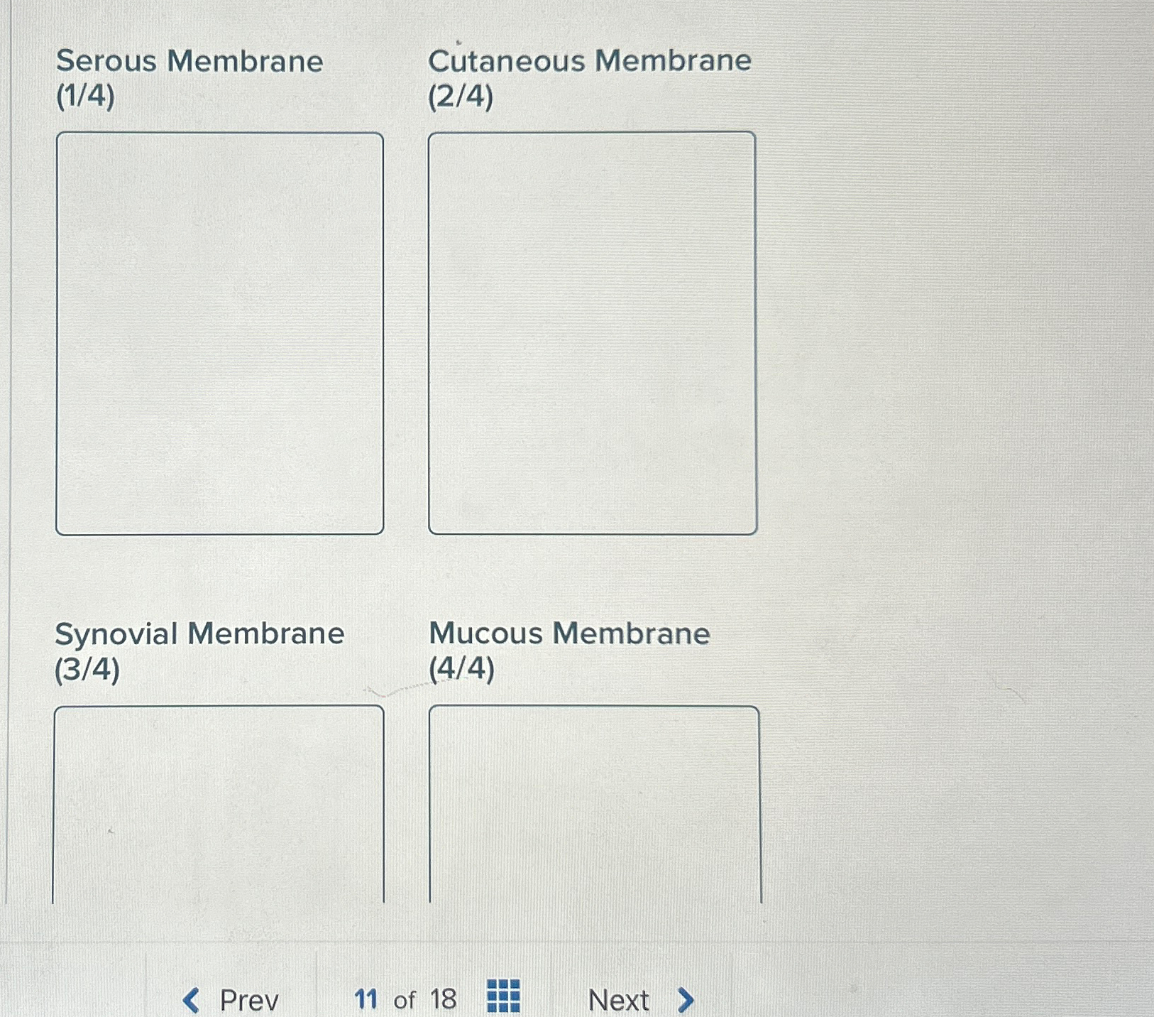 Solved Serous Membrane (14)Synovial Membrane (34)Cutaneous | Chegg.com