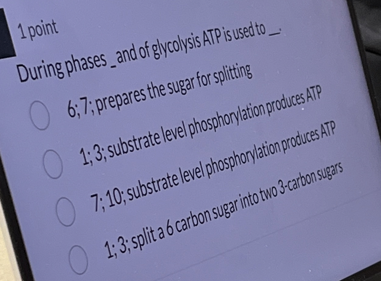Solved During phases what and of glycolysis ATP Is used to | Chegg.com