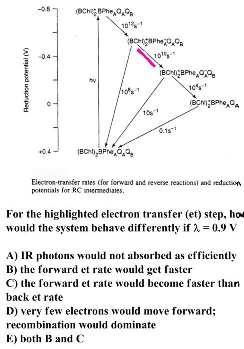 -0.8 (BCH), BPhe AB 10126-1 (BChi), Phe AB -0.4 | Chegg.com