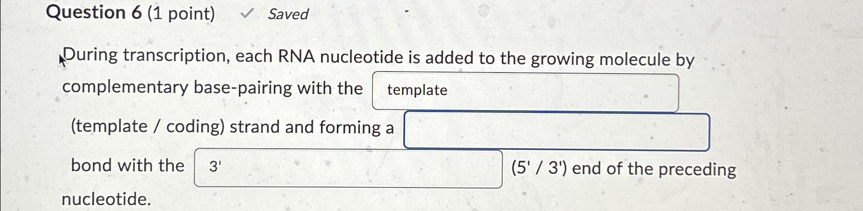 Solved Question 6 (1 ﻿point) ﻿SavedDuring transcription, | Chegg.com