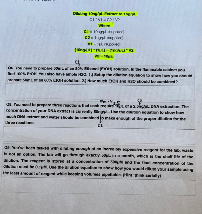Solved Dilution Equation C1 * V1 = C2 * C2 Where C1 = | Chegg.com