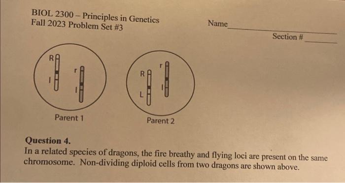 BIOL 2300 - Principles in Genetics Fall 2023 Problem | Chegg.com
