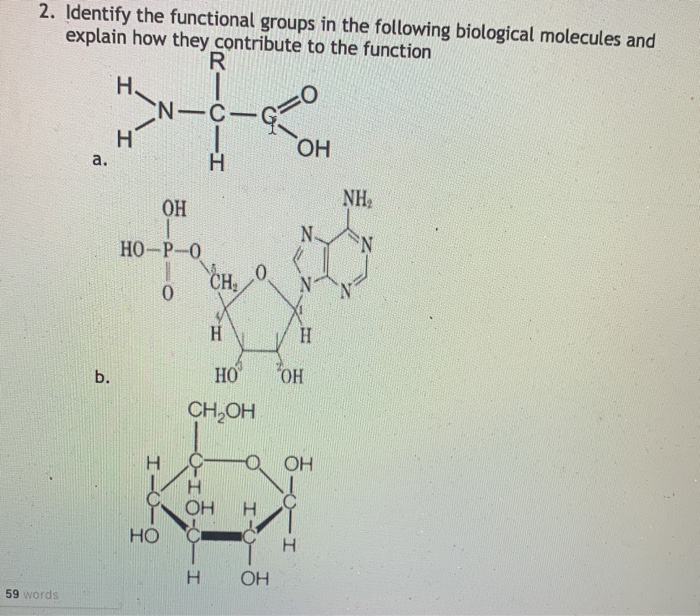 Solved 2. Identify the functional groups in the following | Chegg.com