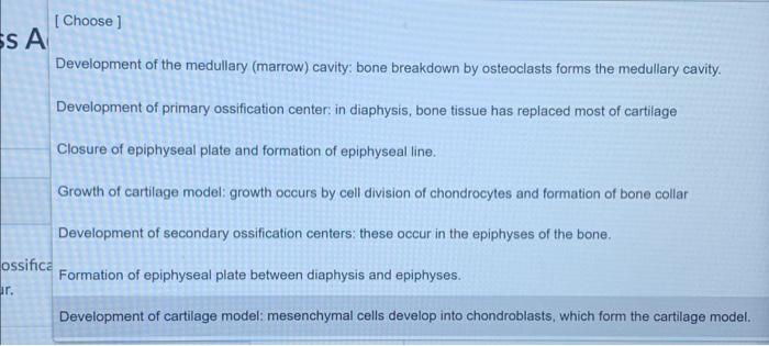 Solved Place the endochondral ossification events listed on | Chegg.com