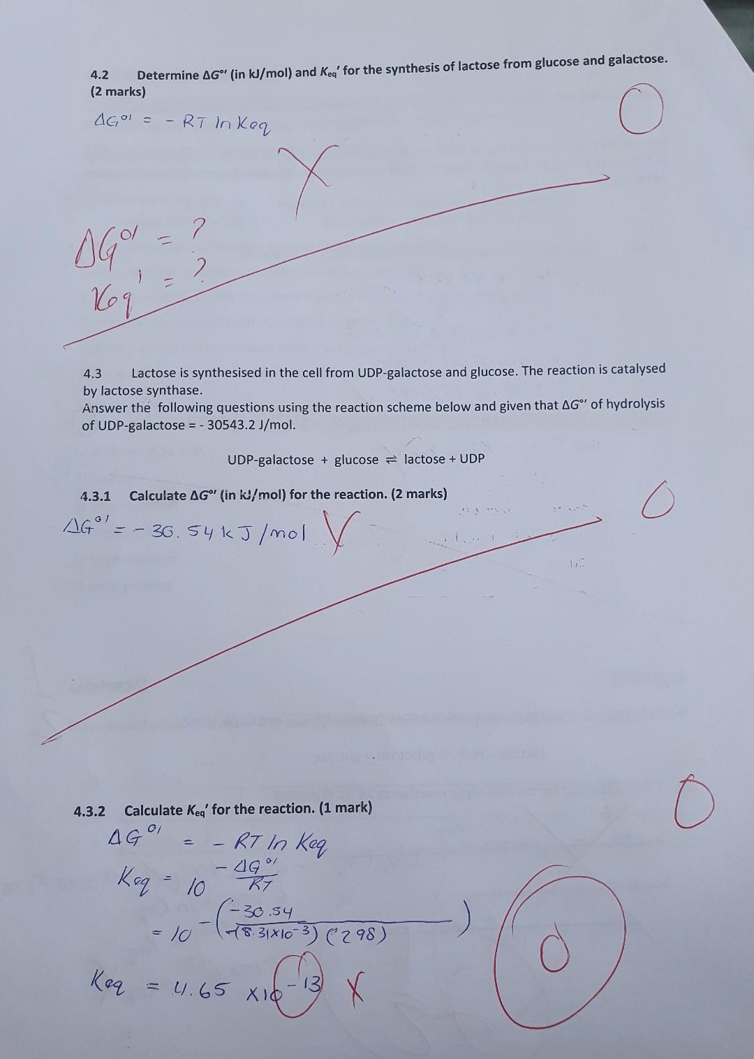 Solved [5 marks] You are tasked with measuring the ΔG∘′ | Chegg.com