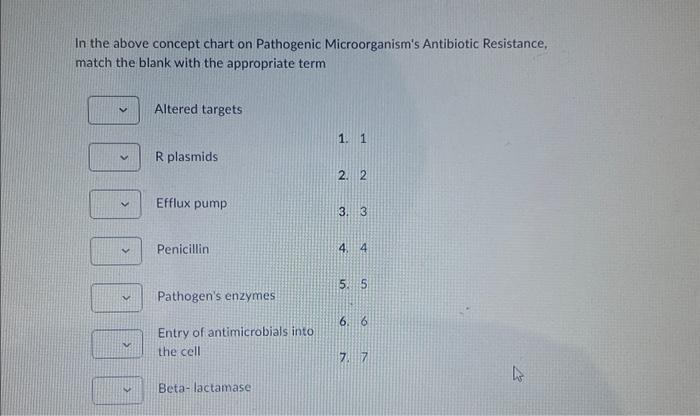 Solved Question 1 ( 7 points) In the above concept chart on | Chegg.com