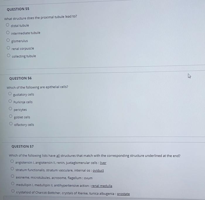 Solved Juxtagiomerular complexis formed by the macula densa | Chegg.com