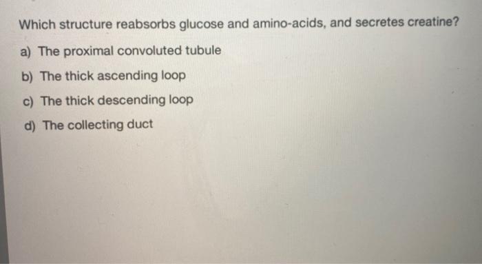 Solved Which structure reabsorbs glucose and amino-acids, | Chegg.com