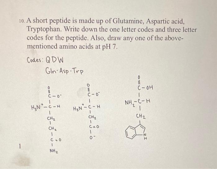 Solved 10. A short peptide is made up of Glutamine, Aspartic | Chegg.com
