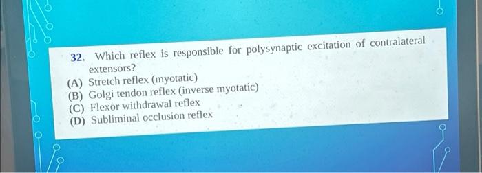 Solved 32. Which reflex is responsible for polysynaptic | Chegg.com
