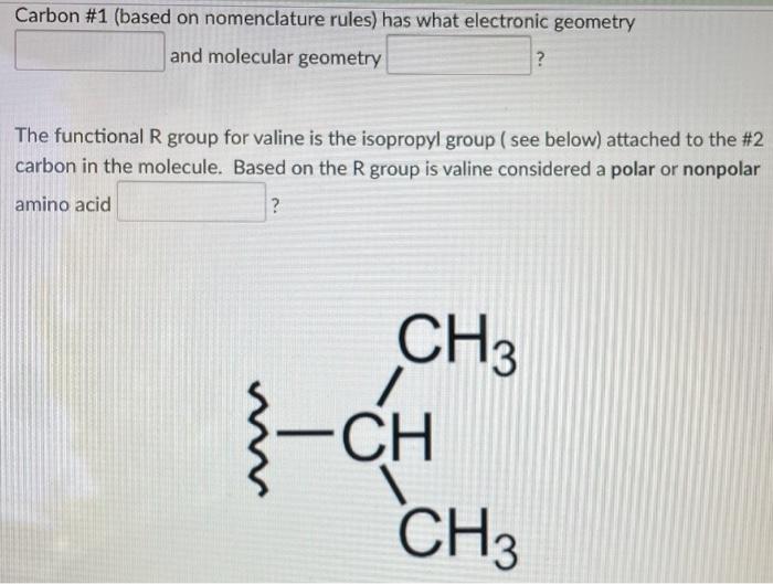 Solved The functional R group for valine is the isopropyl | Chegg.com