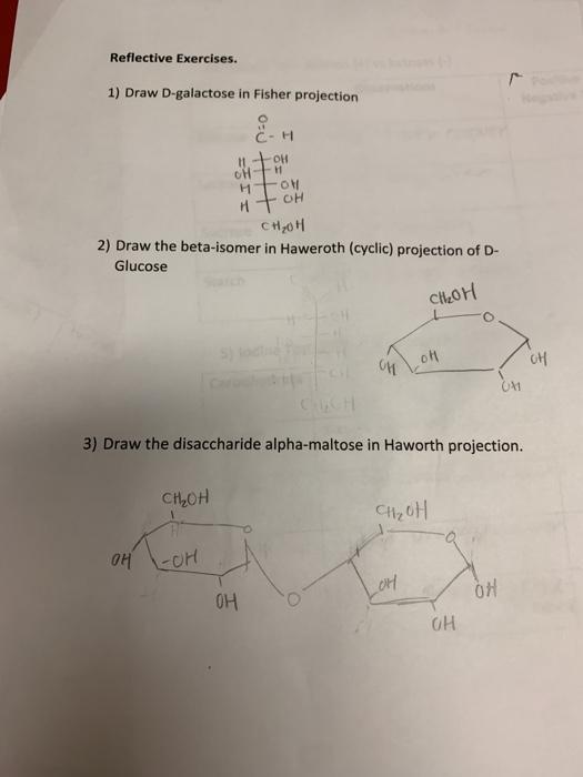 Solved Reflective Exercises. 1) Draw D-galactose in Fisher | Chegg.com