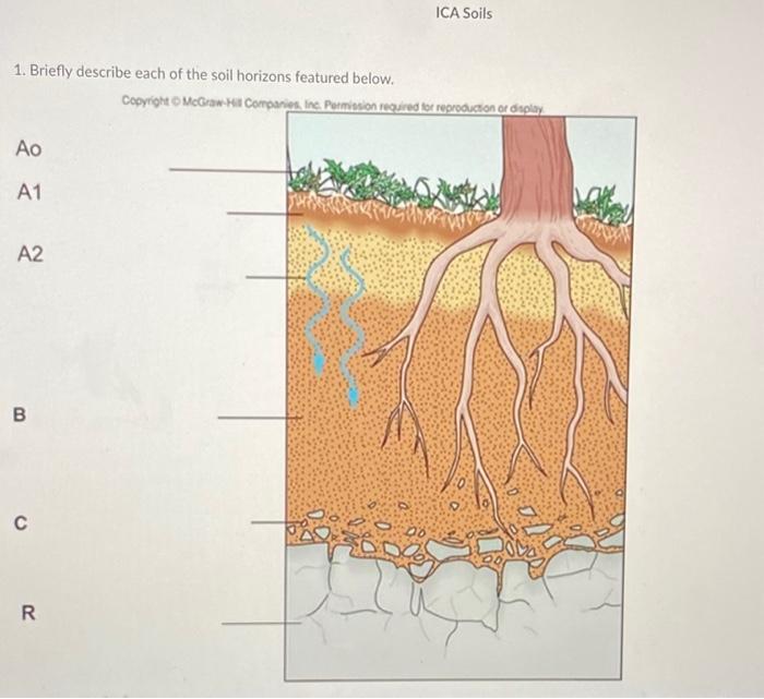 Solved 1. Briefly describe each of the soil horizons | Chegg.com