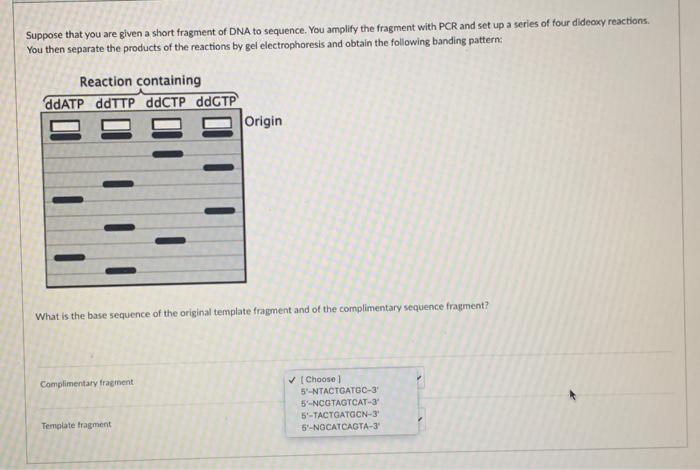 Solved Suppose that you are given a short fragment of DNA to | Chegg.com