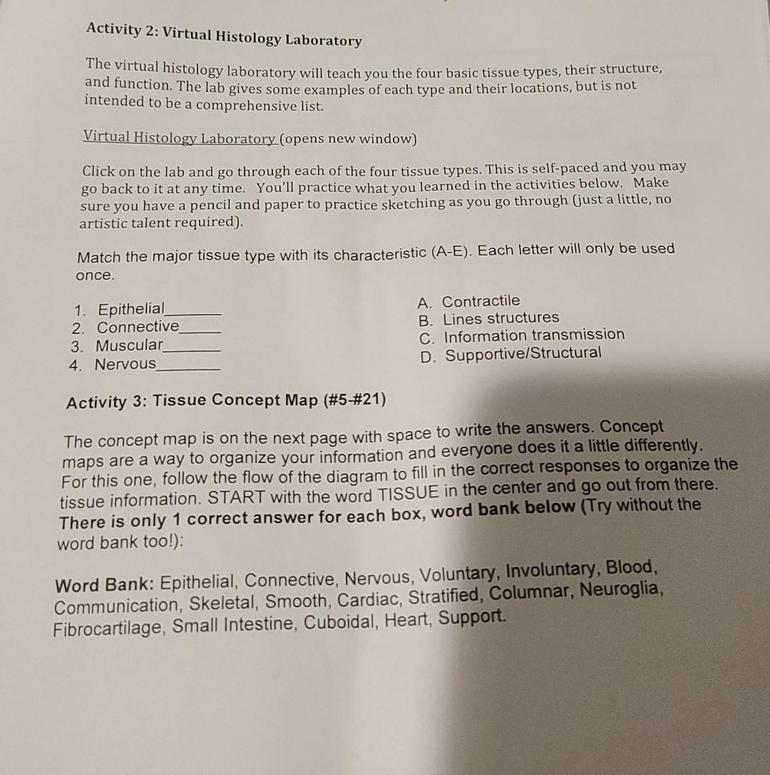 Solved Activity 2: Virtual Histology Laboratory The virtual | Chegg.com