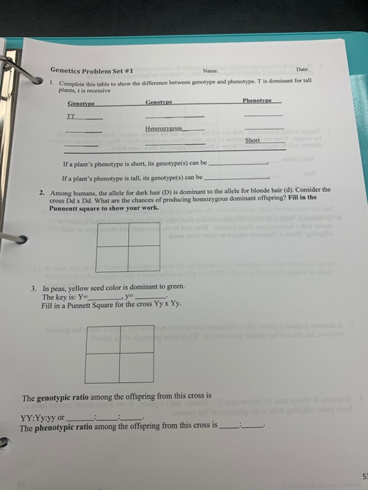 Solved Genetics Problem Set #1 Date: Name: Complete this | Chegg.com