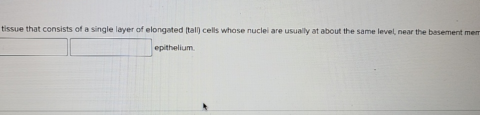 Solved tissue that consists of a single layer of elongated | Chegg.com