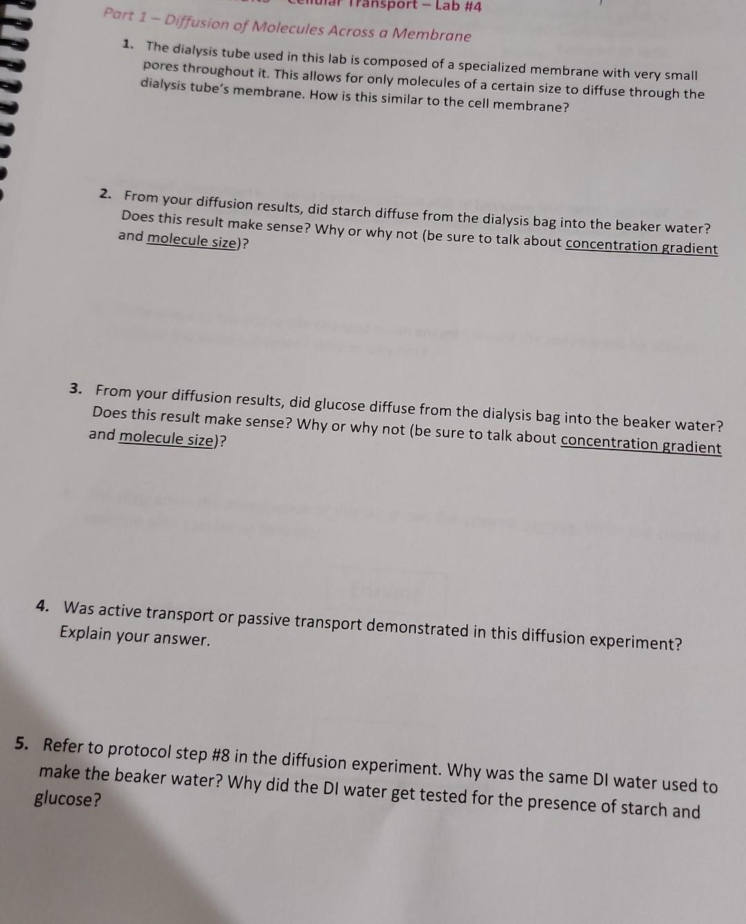 Solved Part 1-Diffusion of Molecules Across a Membrane 1. | Chegg.com