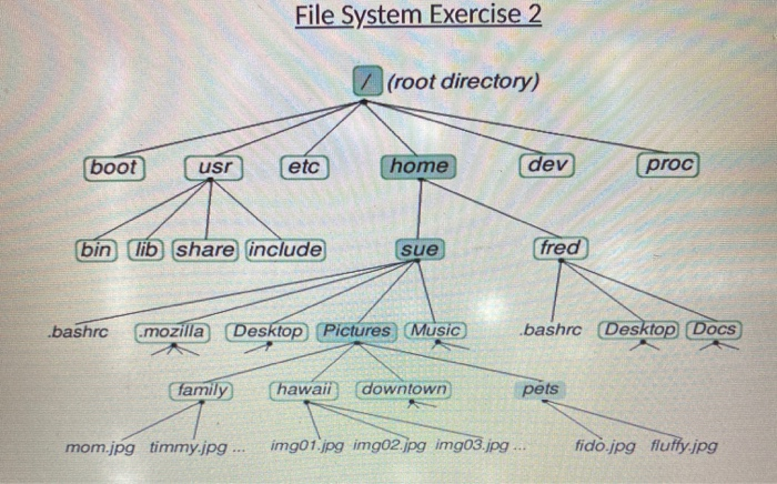 Solved File System Exercise 2 (root directory) boot usr etc | Chegg.com