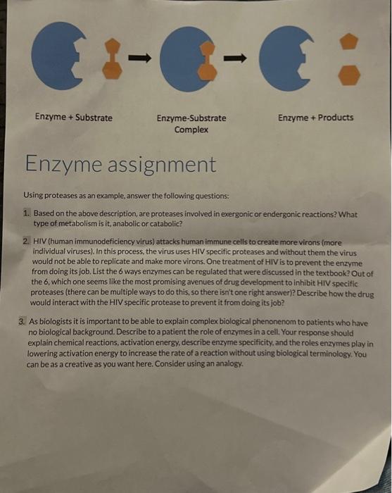 Solved Enzyme + Substrate Enzyme-Substrate Complex Enzyme + | Chegg.com