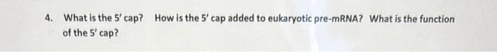 Solved 4. What is the 5' cap? How is the 5′ cap added to | Chegg.com