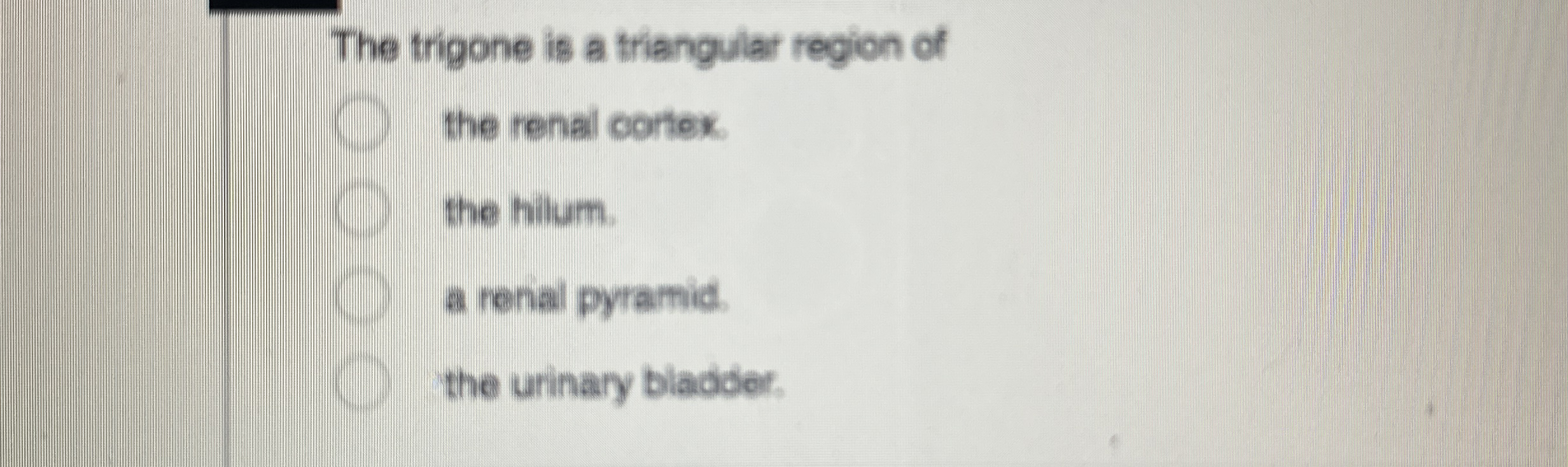 High Quality SOLUTION The trigone is a triangular region ofthe renal ...