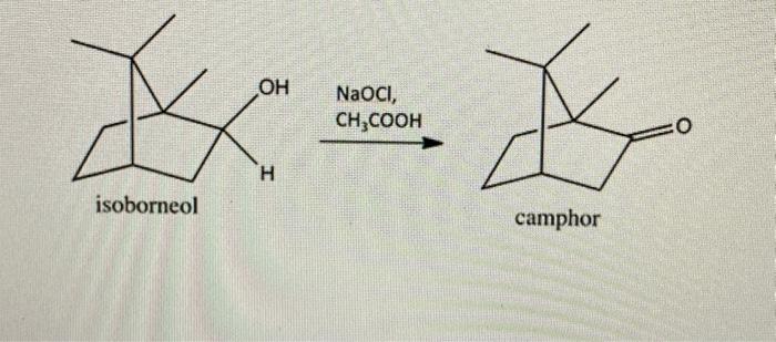 Solved Draw reaction mechanisms of Isoborneol to Camphor. | Chegg.com