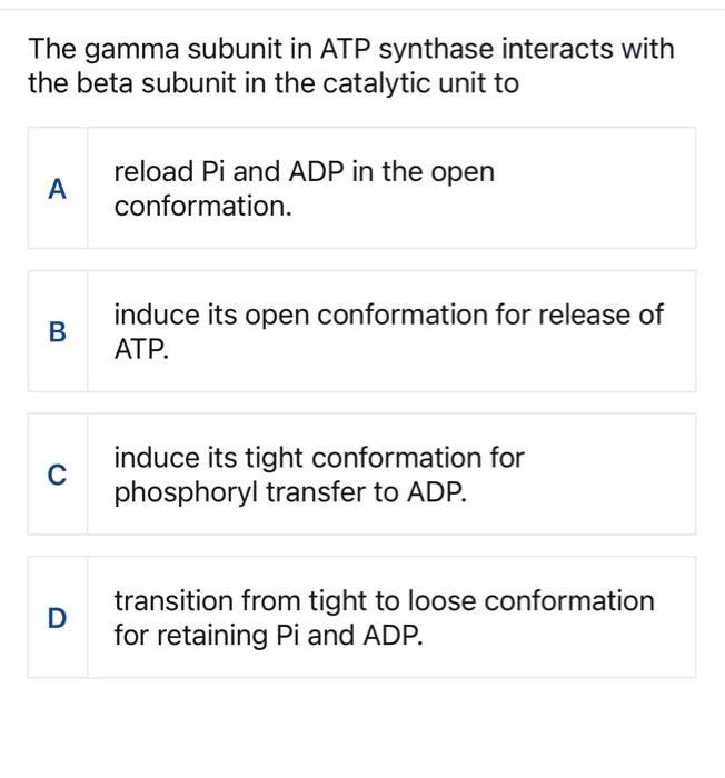Solved The gamma subunit in ATP synthase interacts with the | Chegg.com