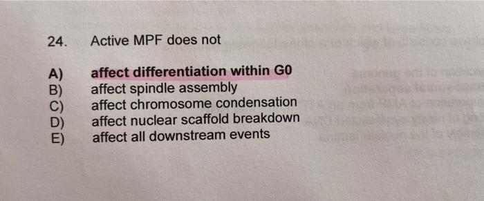 Solved 24. Active MPF does not A) B) C) affect | Chegg.com