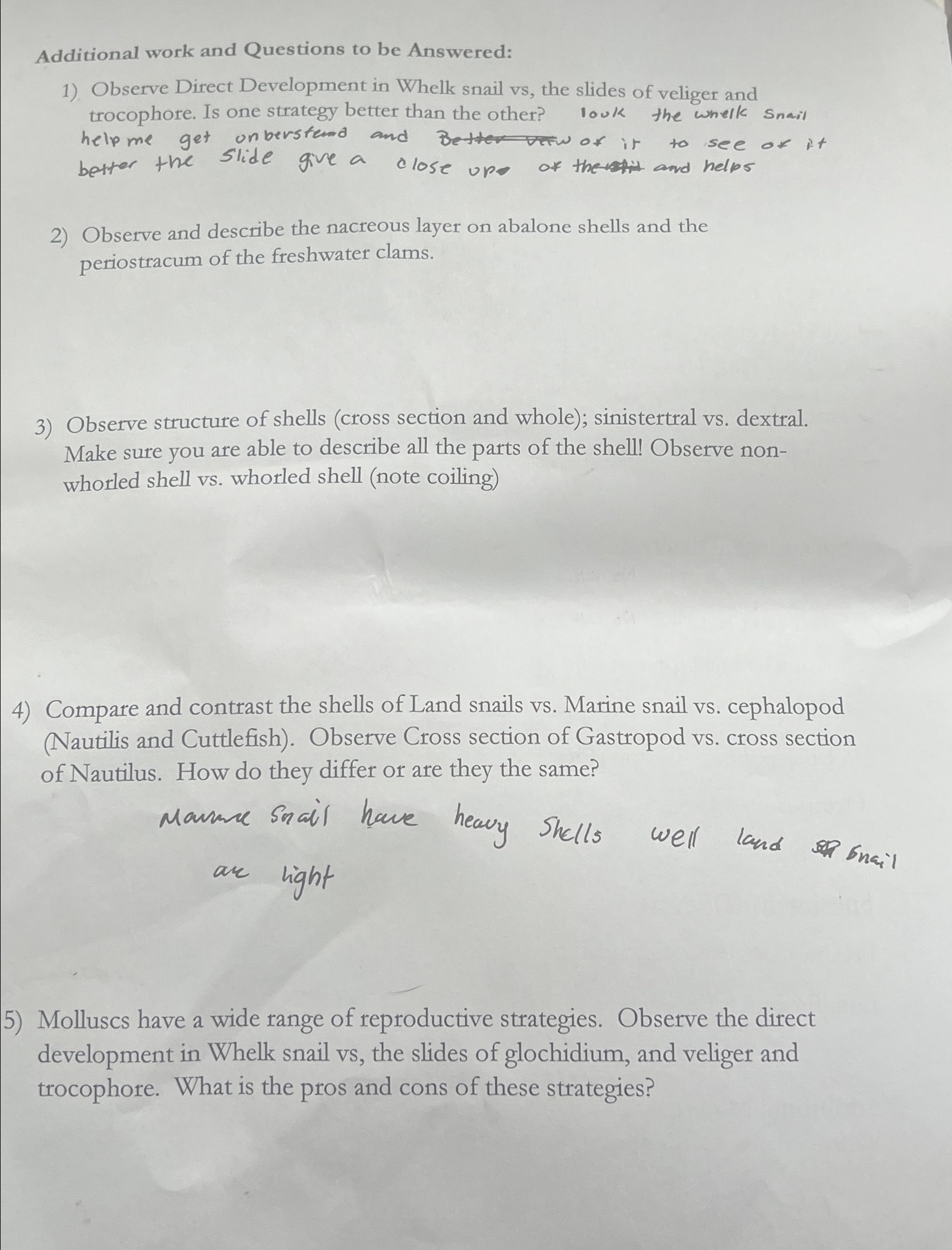 Solved Additional work and Questions to be Answered:Observe | Chegg.com