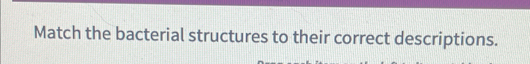 Solved Match the bacterial structures to their correct | Chegg.com