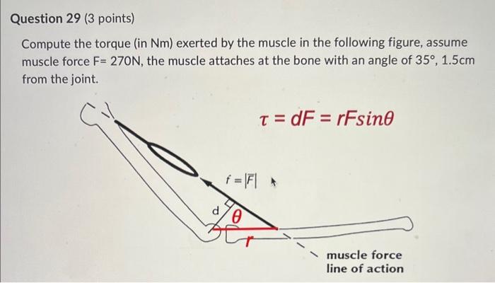 Solved Compute the torque (in Nm ) exerted by the muscle in | Chegg.com
