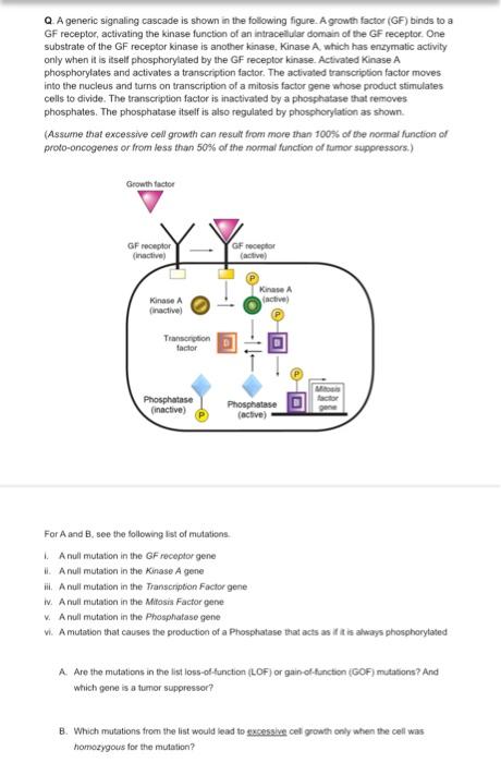 Solved Q. A generic signaling cascade is shown in the | Chegg.com