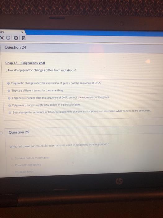 Solved as хс Question 24 Chap 16 - Epigenetics, et al How do | Chegg.com