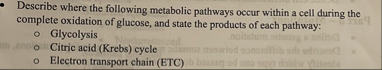 Solved Describe where the following metabolic pathways occur | Chegg.com
