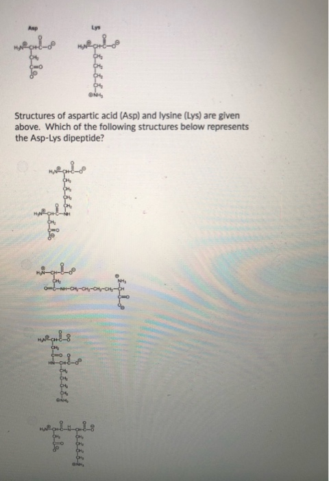 Solved Lys ܝܬܐ icf Structures of aspartic acid (Asp) and | Chegg.com