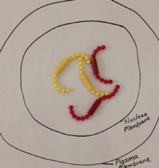 Solved Answer Questions 1-4 Answer Questions 5-7 Answer | Chegg.com
