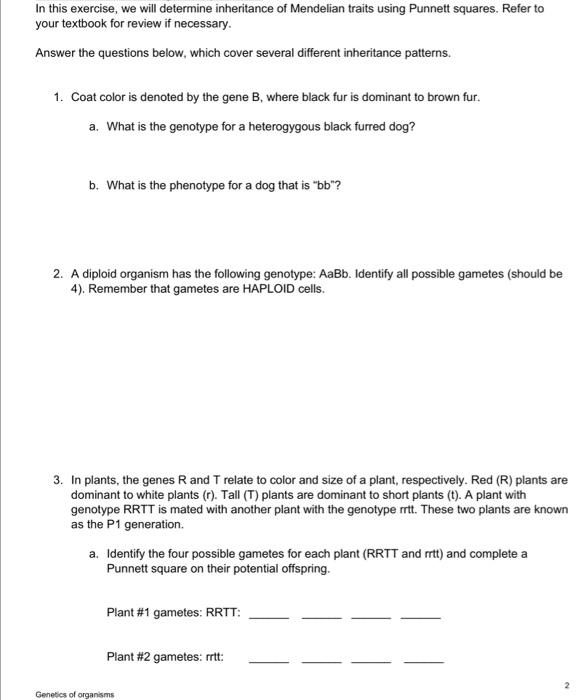 Solved In this exercise, we will determine inheritance of | Chegg.com