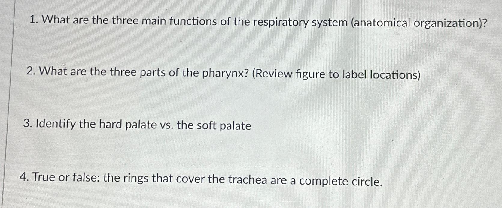 Solved What are the three main functions of the respiratory | Chegg.com